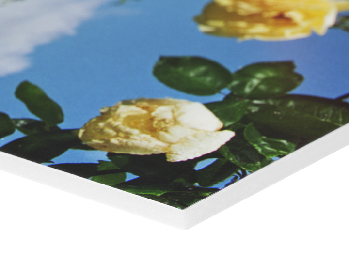 Which photo mounting material should I use | Metro Imaging | London