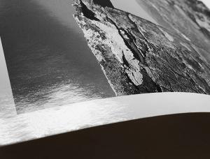 Black & White Photo Printing | Online | In Lab | Metro Imaging